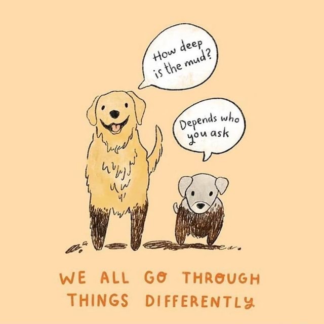 WE ALL GO THROUGH THINGS DIFFERENTLY - iFunny