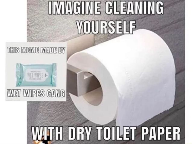 IMAGINE CLEANING YOURSEL. WET WIPES GANG WITH DRY TOILET PAPER - iFunny