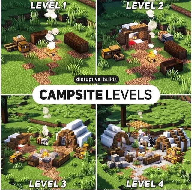 LEVEL1 LEVEL 2 disruptive LEVEL 3 LEVEL 4 - )