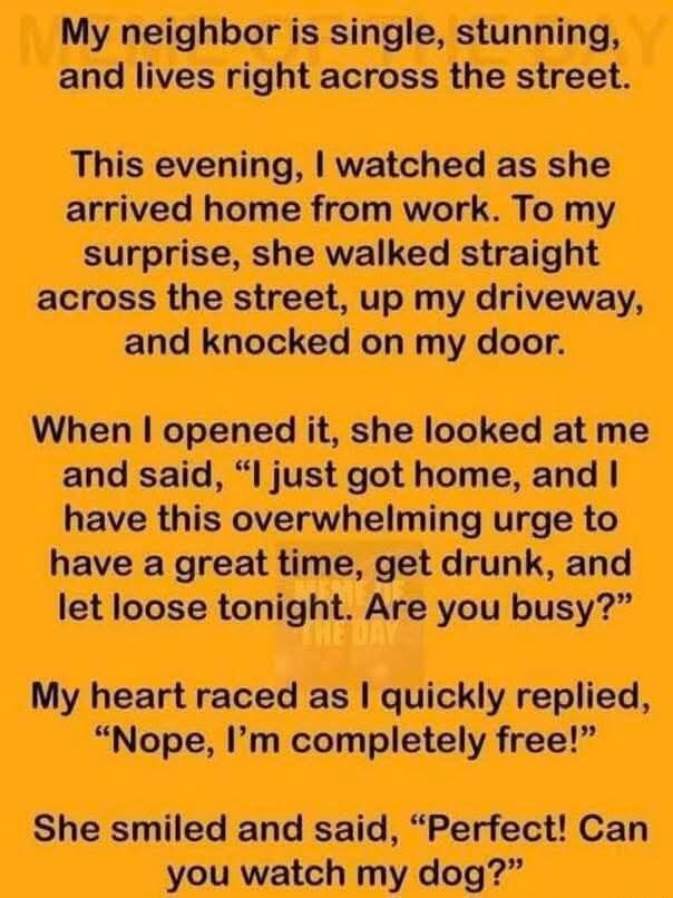 My neighbor is single, stunning, and lives right across the street ...