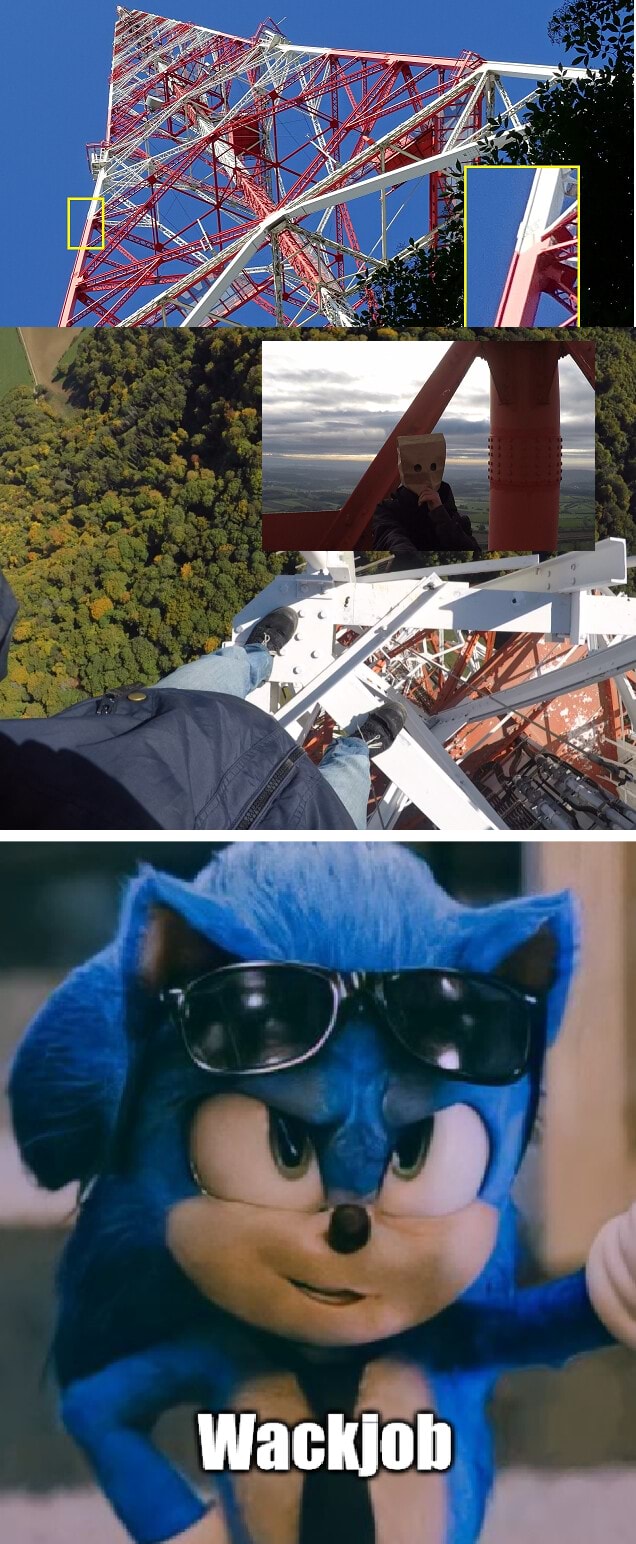 Sonic The Hedgehog, meme - iFunny