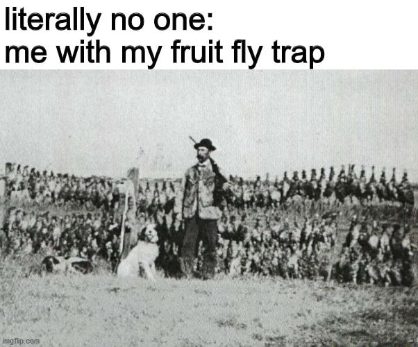 Literally no one: me with my fruit fly trap - iFunny
