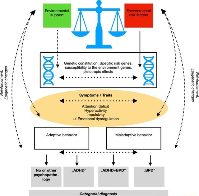 Genetic constitution: Specific risk genes, Y susceptibility to the ...