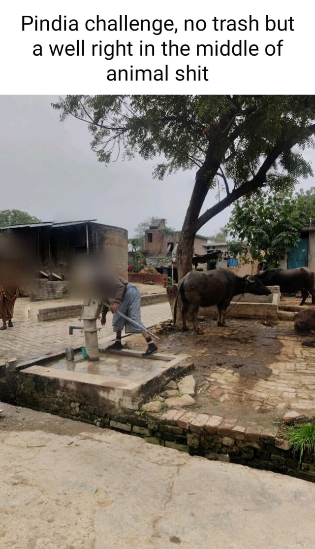 Pindia challenge, no trash but a well right in the middle of animal ...