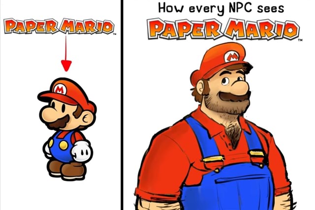 How every NPC sees PAPER MARIO I PAPERMARIO - iFunny