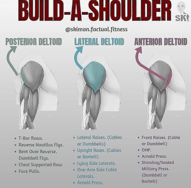 BUILD-A-SHUULDER factual. fitness POSTERIOR DELTOID LATERAL DELTOID ...