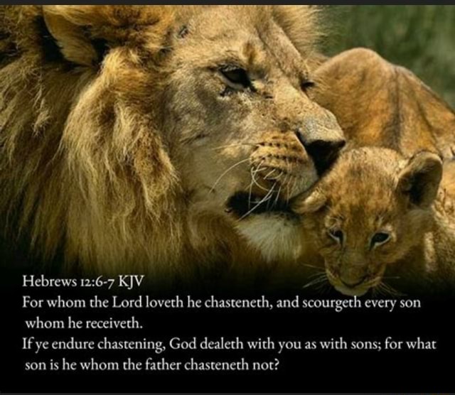 Hebrews KJV For whom the Lord loveth he chasteneth, and seourgech every ...