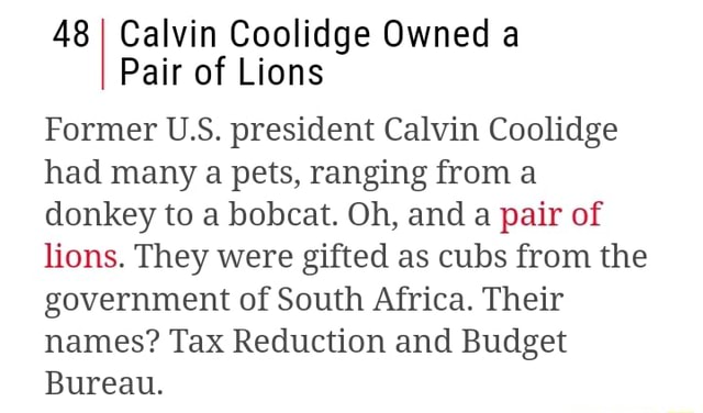 48 Calvin Coolidge Owned a Pair of Lions Former U.S. president Calvin ...