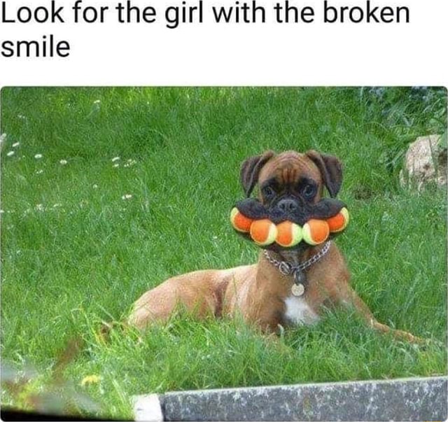 Look for the girl with the broken smile - iFunny