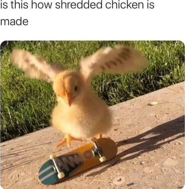 Is this how shreaded chicken Is made - iFunny
