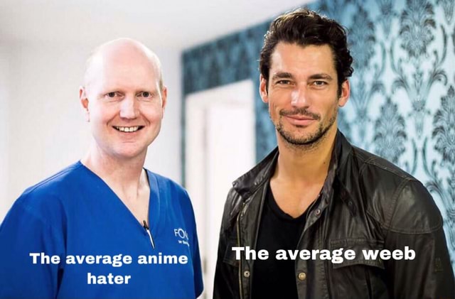 The average anime The average weeb hater - iFunny