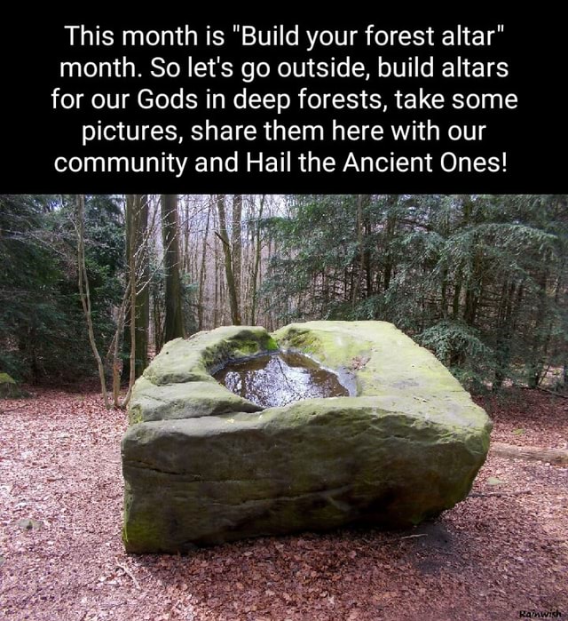 This month is "Build your forest altar" month. So let's go outside ...