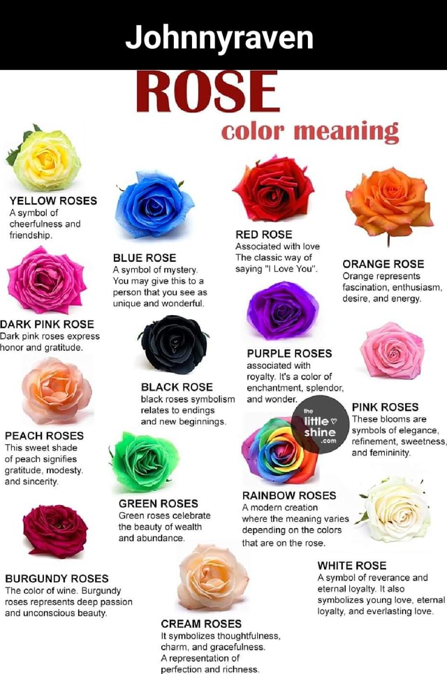 YELLOW ROSES A -symbol of cheerfulness and friendship. Johnnyraven ROSE ...