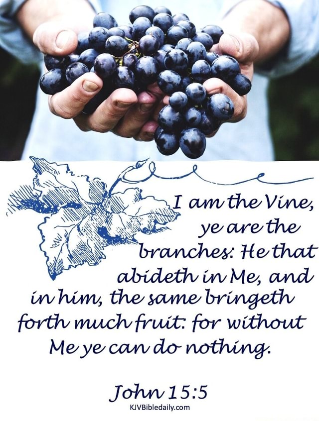 He that Me, forth much fruit: for without Me ye caw do nothing. Johw ...