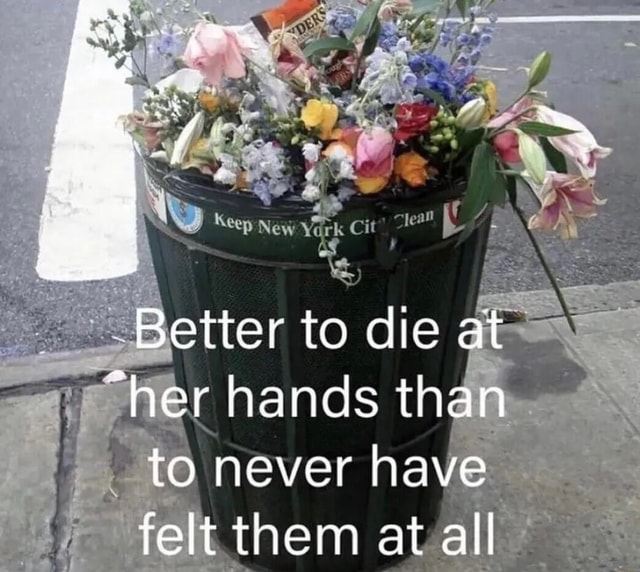 Seep Better To Die At Her Hands Than To Never Have Felt Them At All Ifunny