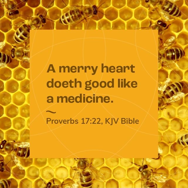 A merry heart doeth good like a medicine. Proverbs KJV Bible - iFunny