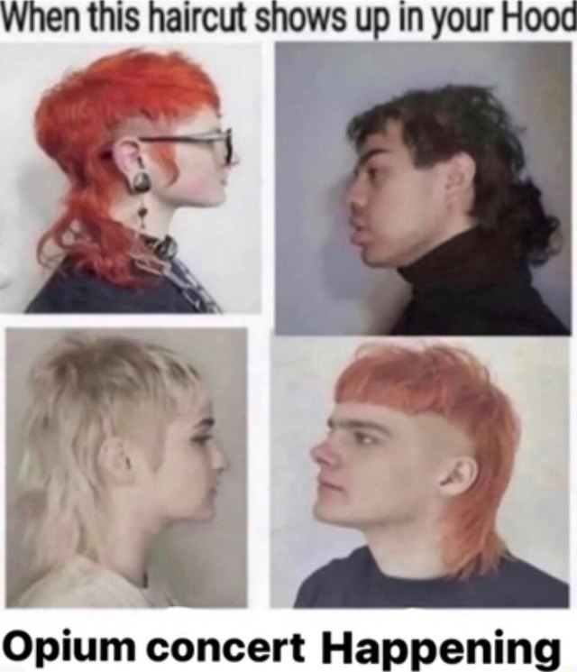 When this haircut shows up in your Hood Opium concert Happening - iFunny