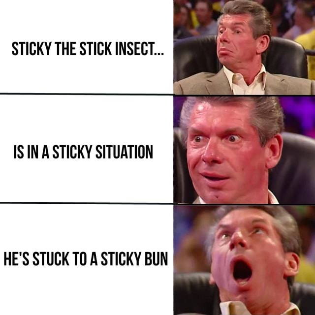 STICKY THE STICK INSECT... IS IN A STICKY SITUATION HE'S STUCK TO A ...