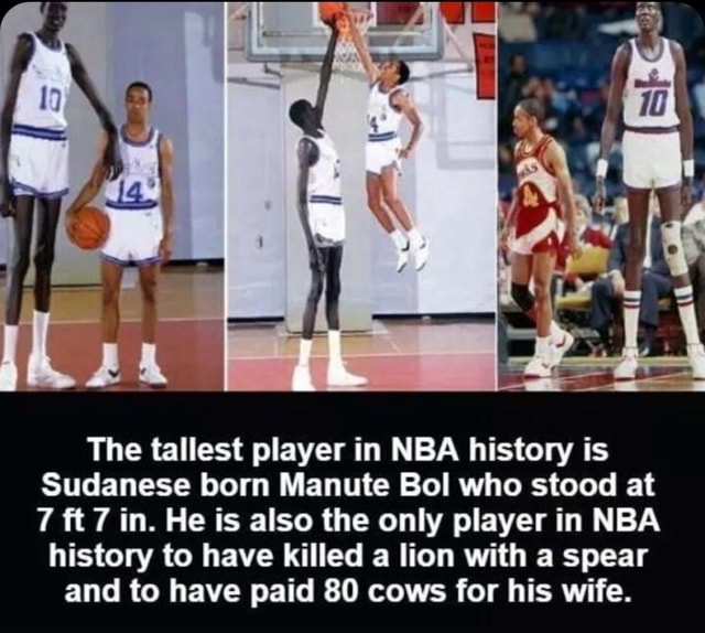 The tallest player in NBA history is Sudanese born Manute Bol who stood ...