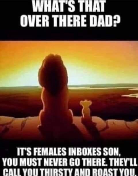 WHATS THAT OVER THERE DAD? IT'S FEMALES INBOXES SON, YOU MUST NEVER GO ...