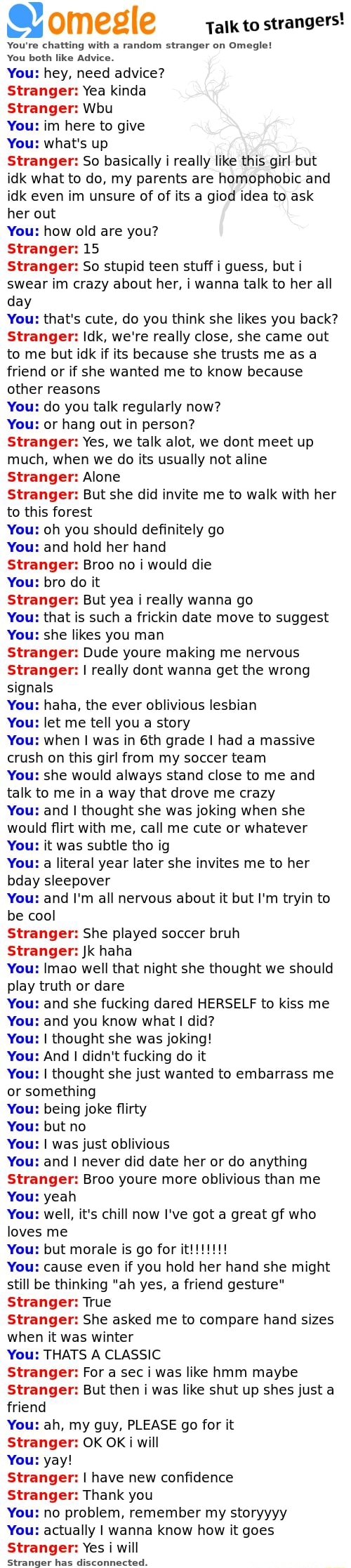 You're chatting with a random stranger on Omegle! You both like Advice ...