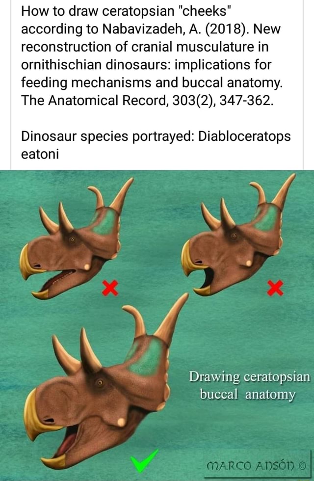 How to draw ceratopsian "cheeks" according to Nabavizadeh, A. (2018 ...