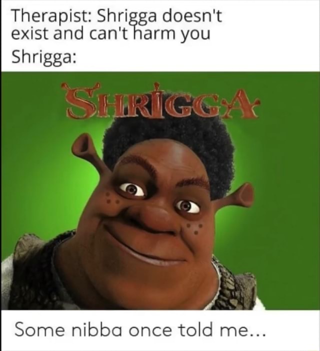 Therapist: SALER doesn't exist and can't Shrigga: arm you Some nibba ...