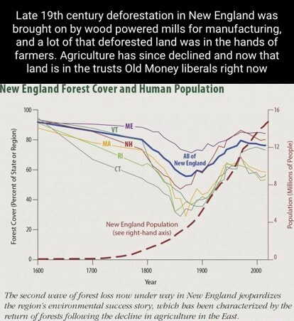 Late 19th century deforestation in New England was brought on by wood ...