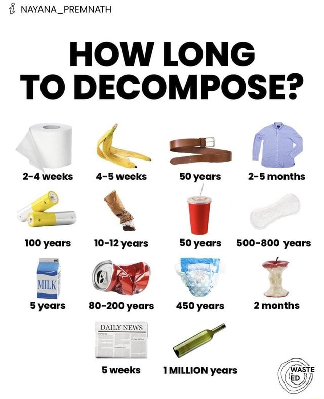 The more you know - NAYANA_PREMNATH HOW LONG TO DECOMPOSE? Ie 2-4 weeks ...