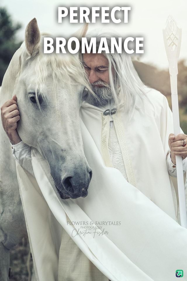 Gandalf & Shadowfax Cosplay #gandalf #shadowfax #lotr #lotrmemes # ...