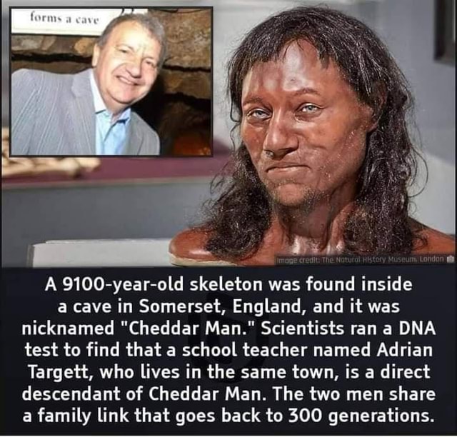 A 9100- -year- -old skeleton was found inside a cave in Somerset ...