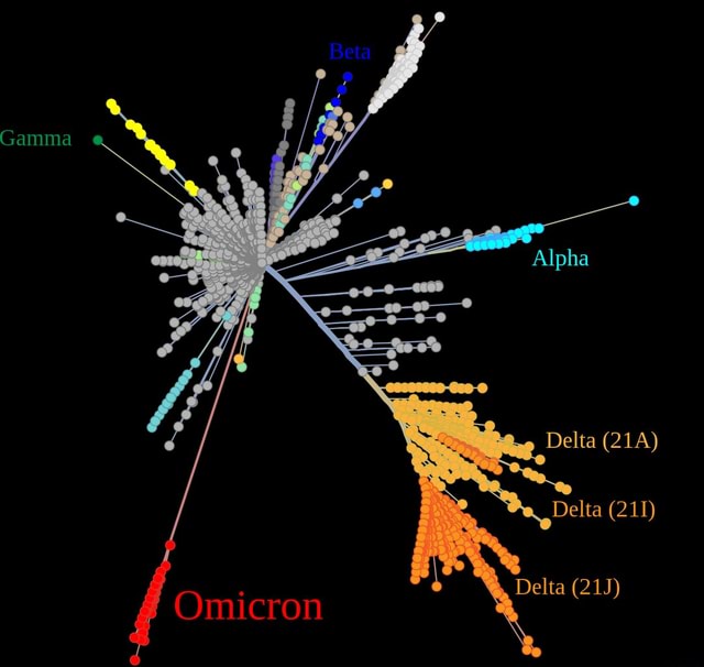 SARS-COV-2 Family Tree - Gamma Alpha Delta Delta (211) Delta Omicron ...