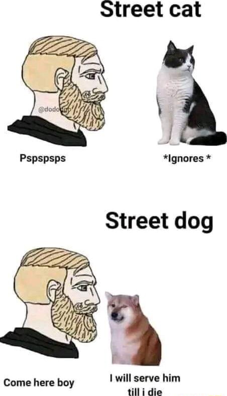 Street cat Pspspsps *Ignores * Street dog Pe I will serve him till die ...
