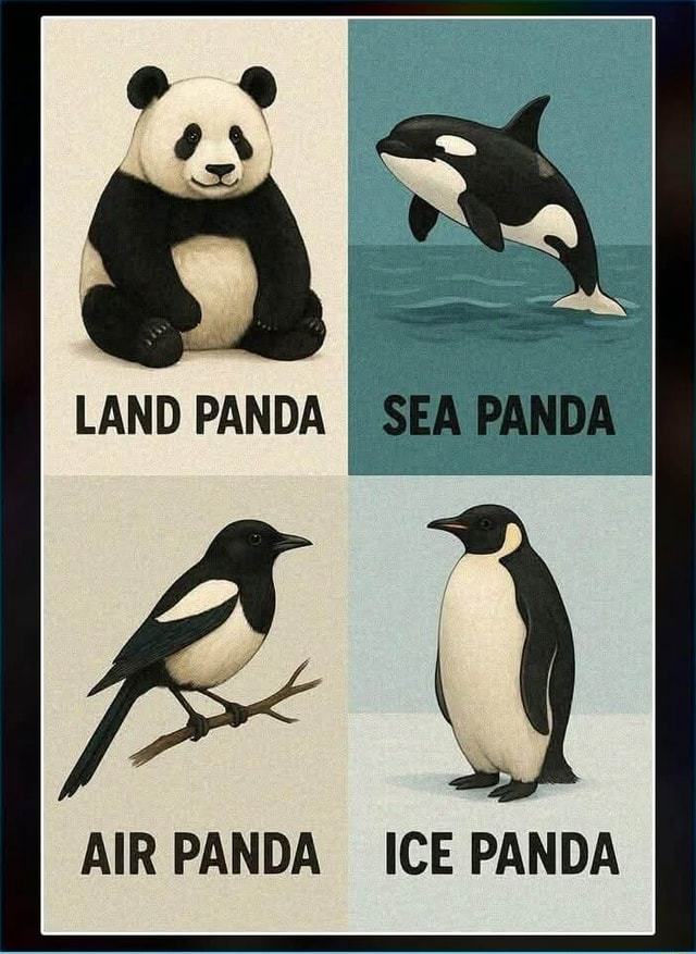 LAND PANDA SEA PANDA AIR PANDA ICE PANDA - iFunny