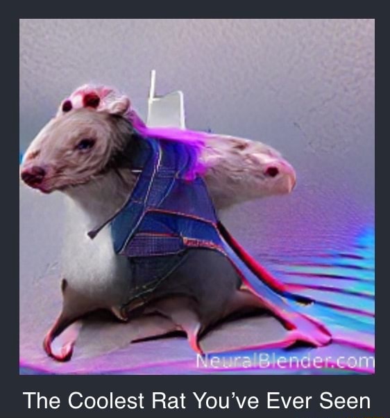 The Coolest Rat You've Ever Seen - iFunny