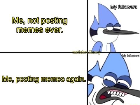 Me, not posting memes ever. Me, posting memes again. - iFunny