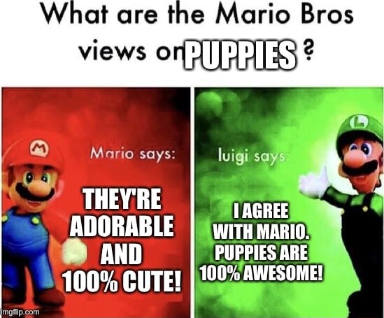 What are the Mario Bros views on PUPPIES: luigi says A Mario says: THEY ...