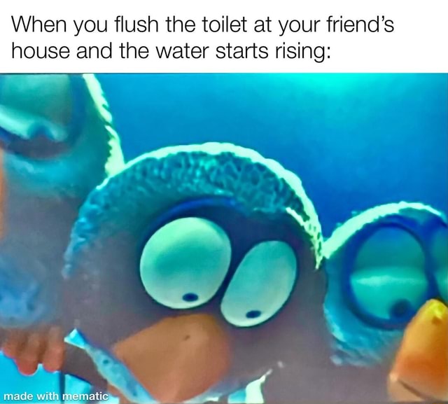 When you flush the toilet at your friend's house and the water starts ...