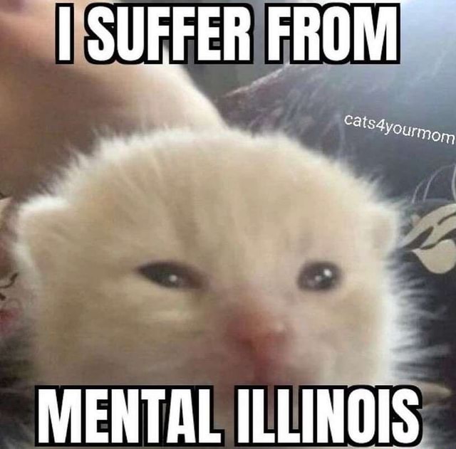 I SUEFER FRO cat OUM on, MENTAL ILLINOIS - iFunny