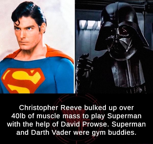Christopher Reeve bulked up over 40Ib of muscle mass to play Superman ...
