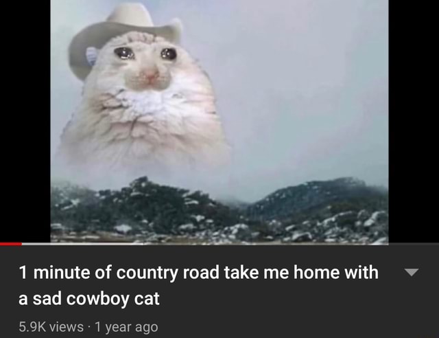 1 minute of country road take me home with a sad cowboy cat - iFunny