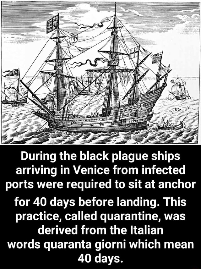 During the black plague ships arriving in Venice from infected ports ...