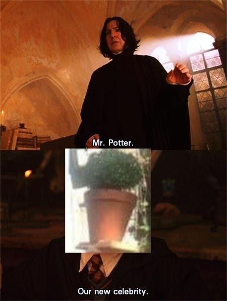 Mr. Potter. Our new celebrity. - iFunny