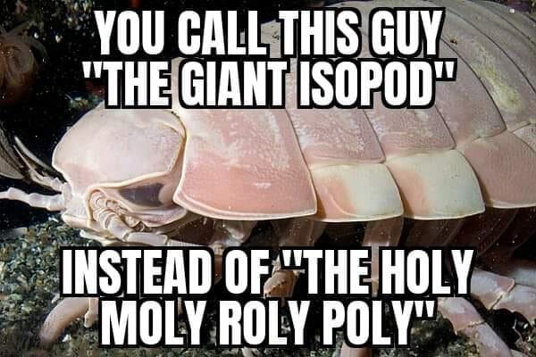 YOU CALL THIS GUY "THE GIANT ISOPOD" INSTEAD OF "THE HOLY MOLY ROLY ...