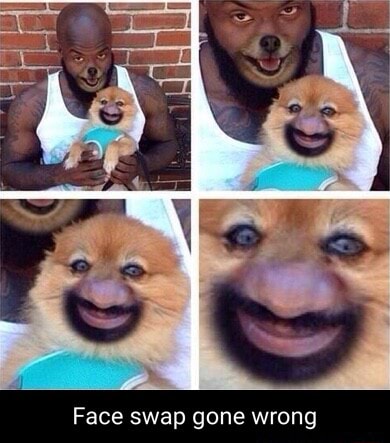 Face swap gone wrong - iFunny