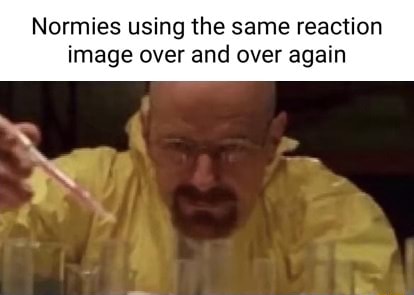 Normies using the same reaction image over and over again - iFunny