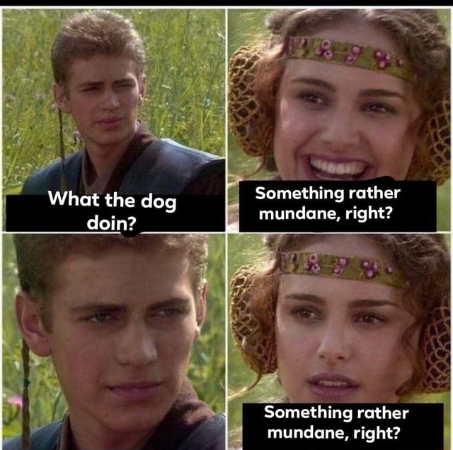 What the dog doin? Something rather mundane, right? Something rather ...