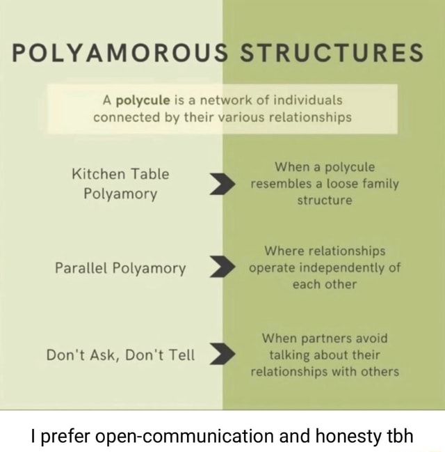 POLYAMOROUS STRUCTURES A polyeule is a network of individuals connected ...