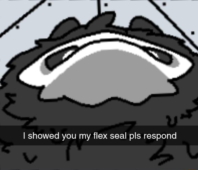 I showed you my flex seal pls respond - iFunny