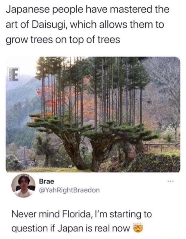 Japanese people have mastered the art of Daisugi, which allows them to ...